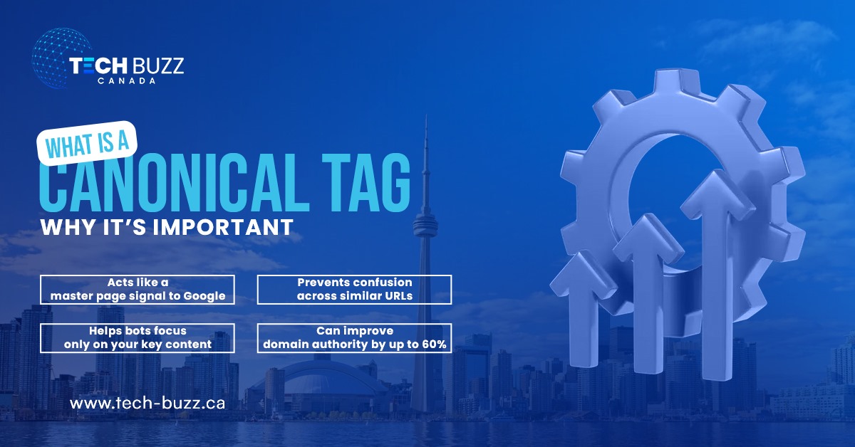 What Is a Canonical Tag? Definition, Tips, and Best Practices